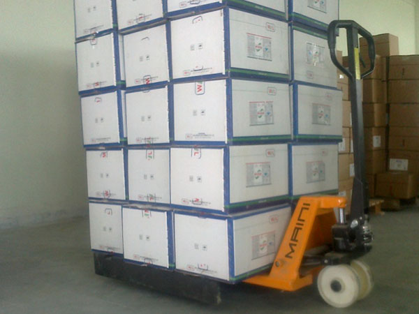 Box Lifting | Advance System